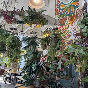 YUKO KITCHEN DTLA - Updated December 2025 - 1328 Photos & 633 Reviews ...