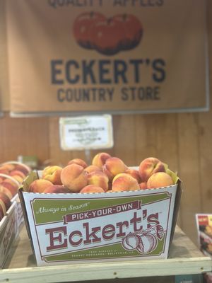 ECKERT’S ORCHARD - Updated September 2025 - 135 Photos & 64 Reviews ...