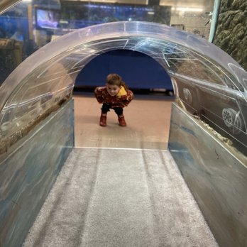 BIOMES - Updated August 2024 - 111 Photos & 75 Reviews - 6640 Post Rd ...