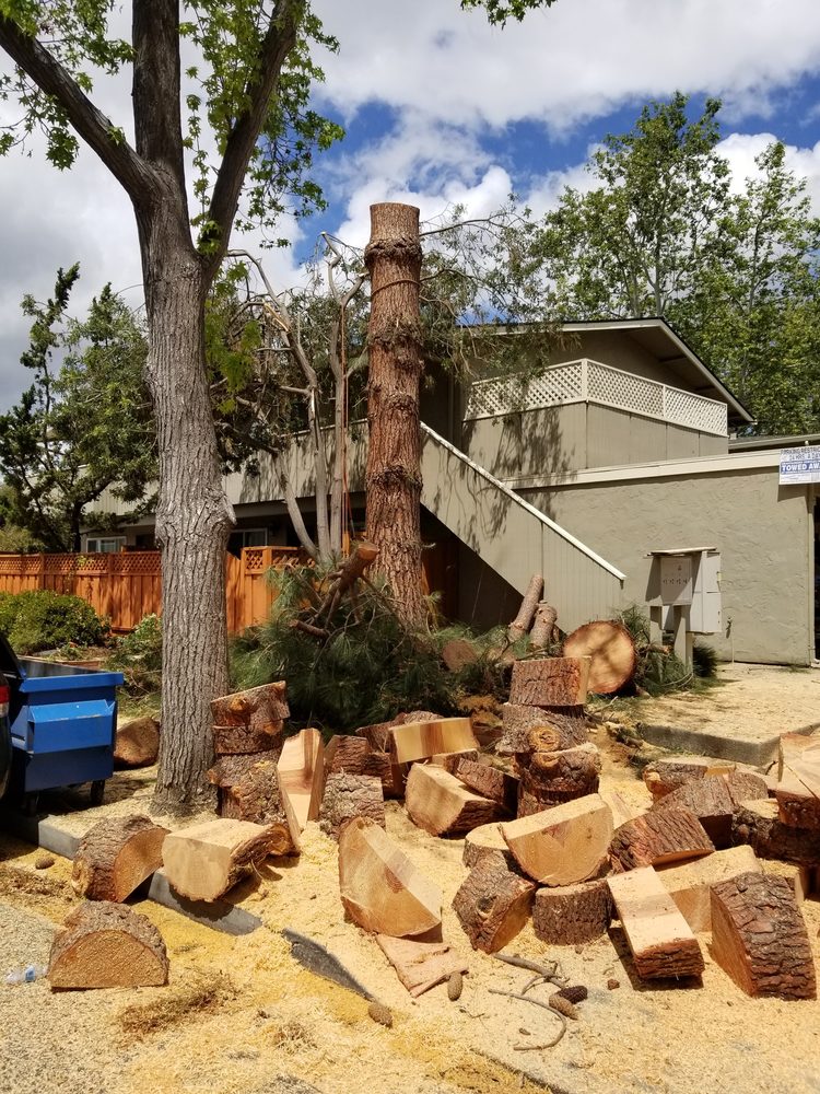 ONE TWO TREE CARE - Updated January 2026 - 116 Photos & 138 Reviews ...