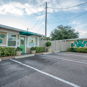 BAY PAWS PET RESORT - Updated October 2025 - 40 Photos & 50 Reviews ...