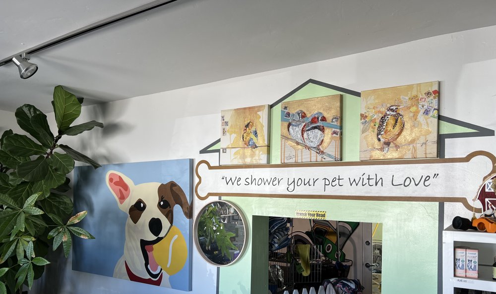 PUCCI PETS - Updated September 2025 - 247 Photos & 103 Reviews - 12247 ...