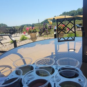 WARNER VINEYARDS - 101 Photos & 35 Reviews - 706 S Kalamazoo St, Paw Paw, Michigan - Wine ...