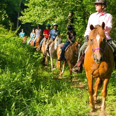 THE RANCH TENNESSEE TREATMENT CENTER - Updated October 2025 - 27 Photos ...