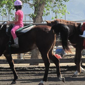 SUSIE Q RANCH - Updated June 2025 - 236 Photos & 197 Reviews - 28330 ...