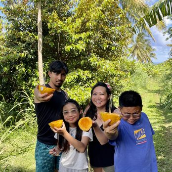 ONO ORGANIC FARMS - Updated December 2025 - 101 Photos & 52 Reviews ...