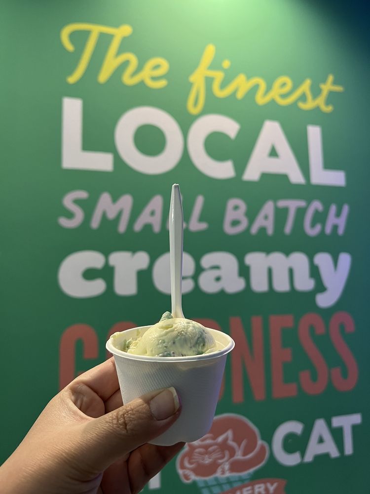 FAT CAT CREAMERY - Updated January 2026 - 92 Photos & 47 Reviews - 1225 ...