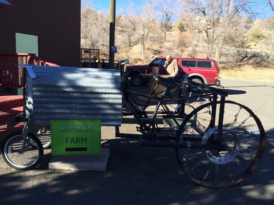 URBAN ROOTS - Updated September 2025 - 28 Photos & 14 Reviews - 1700 E ...