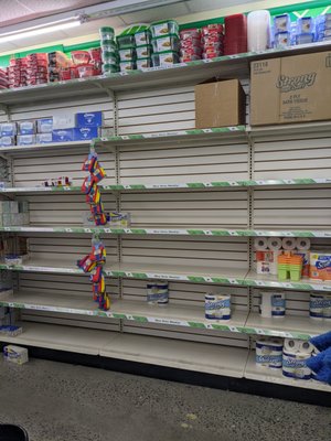 DOLLAR TREE - Updated August 2025 - 12 Photos & 10 Reviews - 570 ...