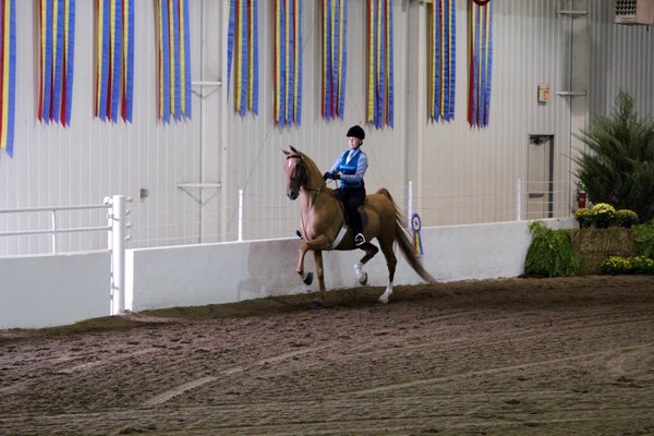 NATIONAL EQUESTRIAN CENTER - Updated December 2025 - 18 Photos - 6880 ...