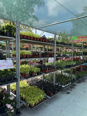 PAT’S FARMS GARDEN CENTER - 34 Photos - 1126 Merrick Ave, Merrick, New ...