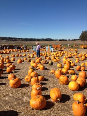 SPRING HILL FARM - Updated October 2025 - 18 Photos & 14 Reviews - 4235 ...