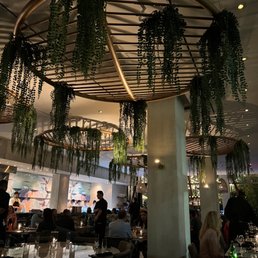 AKIRA BACK - Updated December 2025 - 573 Photos & 204 Reviews - 233 NE ...