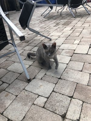 ELLIE RAY’S RV RESORT & LOUNGE - 28 Photos & 23 Reviews - Campgrounds ...