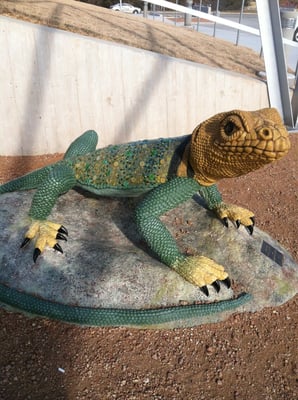 PATIENCE S LATTING NORTHWEST LIBRARY - Updated December 2025 - 28 ...