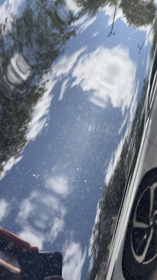 AUTONATION FORD MARGATE - Updated December 2025 - 35 Photos & 219 ...