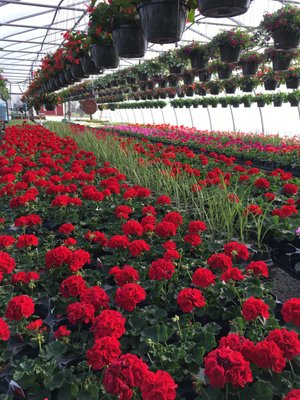 SUNNYSIDE GREENHOUSES - Updated December 2025 - 3185 E 700th N ...