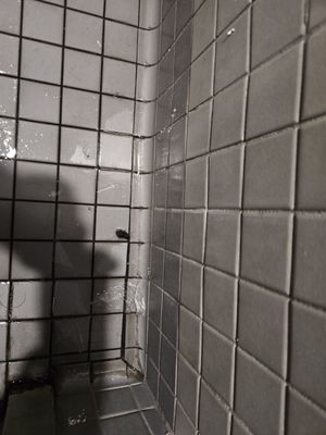 IN-SHAPE FITNESS - Updated July 2025 - 81 Photos & 152 Reviews - 2700 ...