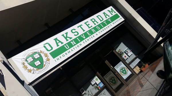 OAKSTERDAM UNIVERSITY - Updated December 2025 - 43 Photos & 40 Reviews ...