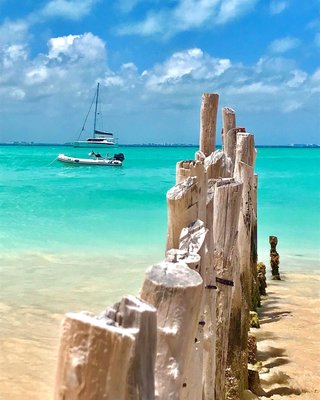 TARZAN BAR AND GRILL - Updated August 2025 - 30 Photos & 18 Reviews ...