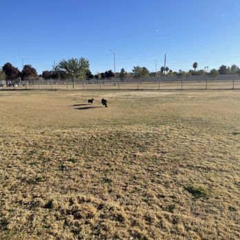 BARKIN’ BASIN DOG PARK - Updated October 2024 - 178 Photos & 130 ...