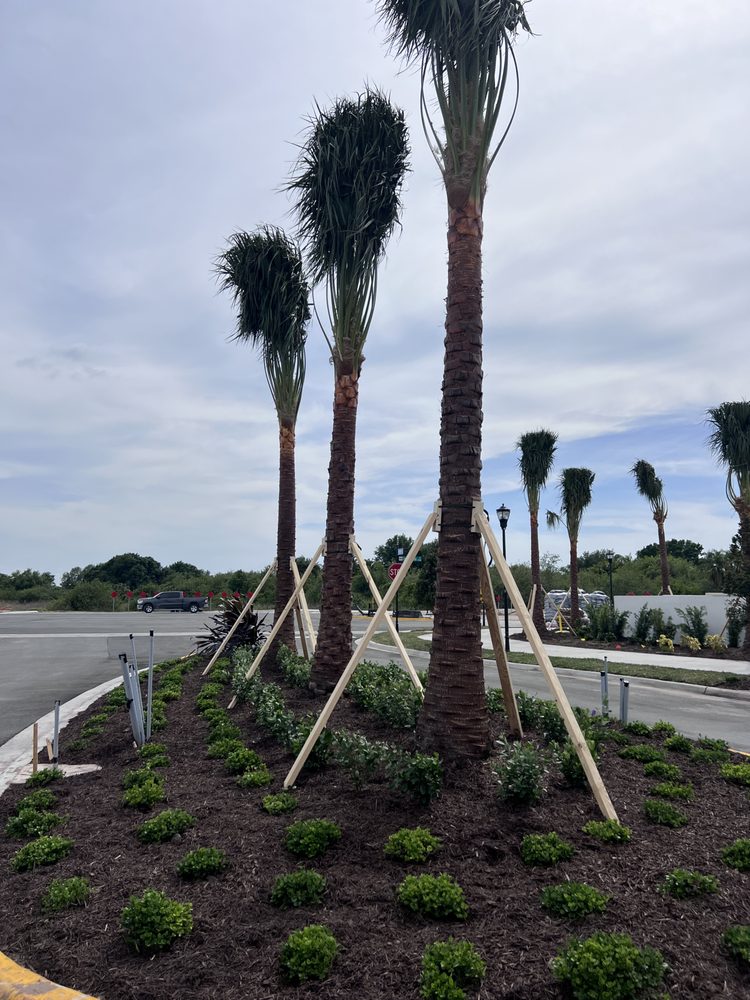 SHIELD LANDSCAPING - Updated June 2024 - Tampa, Florida - Landscaping ...