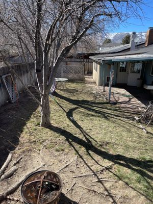 BATTLE BORN LANDSCAPING - Updated January 2026 - 24 Photos & 19 Reviews ...