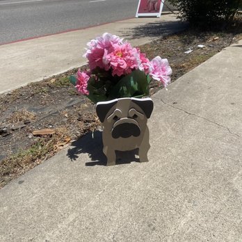 CUPPA PUG - Updated December 2025 - 199 Photos & 82 Reviews - 607 W 9th ...