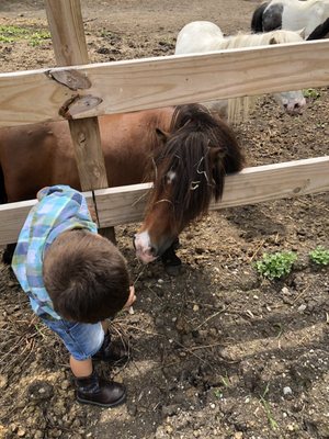 NATURAL VALLEY RANCH - 34 Photos & 14 Reviews - 6310 E Co Rd 350 N ...