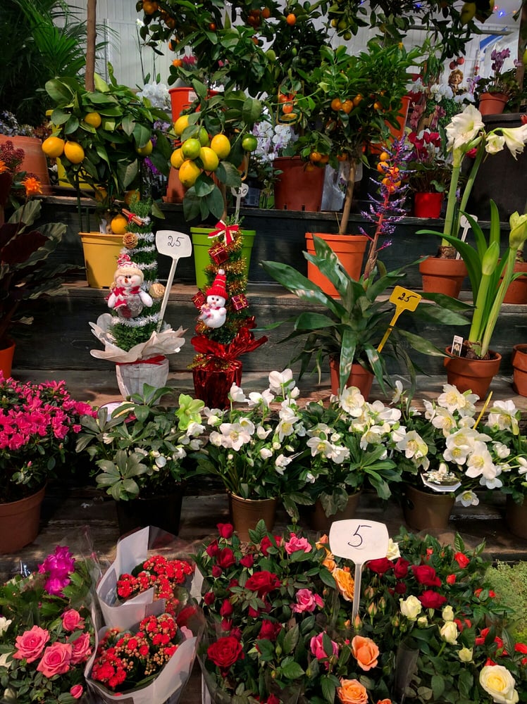 MARCHÉ AUX FLEURS - Updated November 2024 - 11 Reviews - Quai de la ...