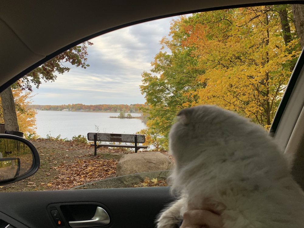 WABASIS LAKE PARK CAMPGROUND - Updated September 2024 - 37 Photos ...