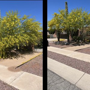 ARIZONA PROSCAPES - Updated May 2025 - 28 Photos - Tucson, Arizona ...