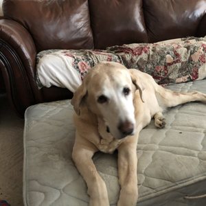 O’REILLY AUTO PARTS - Updated December 2025 - 15 Photos - 4528 Center ...