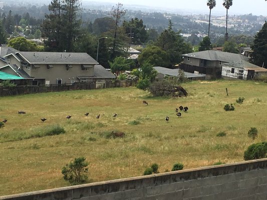 VISTA POST ACUTE - Updated October 2025 - 22 Photos & 13 Reviews - 3269 ...