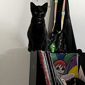 CMPD ANIMAL CARE AND CONTROL - Updated January 2026 - 34 Photos & 32 ...