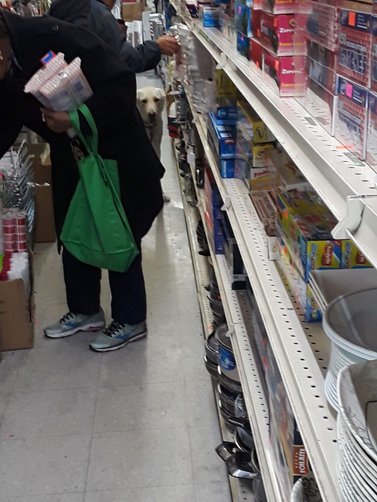 99 CENT PLUS - 656 Amsterdam Ave, New York, New York - Discount Store ...