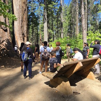 CALAVERAS BIG TREES STATE PARK - Updated December 2025 - 1257 Photos ...