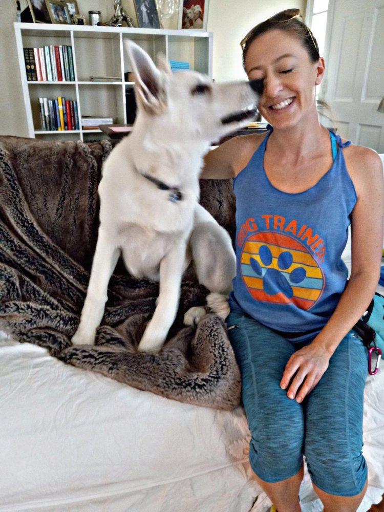 PROUD PAWS DOG TRAINING - Updated October 2025 - 59 Photos & 35 Reviews ...