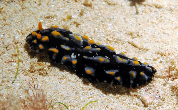 POINT PANIC BEACH PARK - Updated December 2025 - 469 Photos & 23 ...