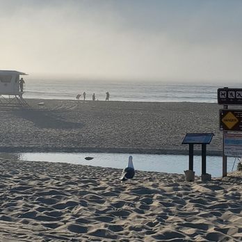 MONTEREY STATE BEACH - Updated October 2025 - 139 Photos & 51 Reviews ...