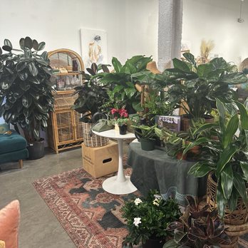 THE PLANT PROJECT - Updated October 2025 - 888 Westheimer Rd, Houston, Texas - Nurseries ...