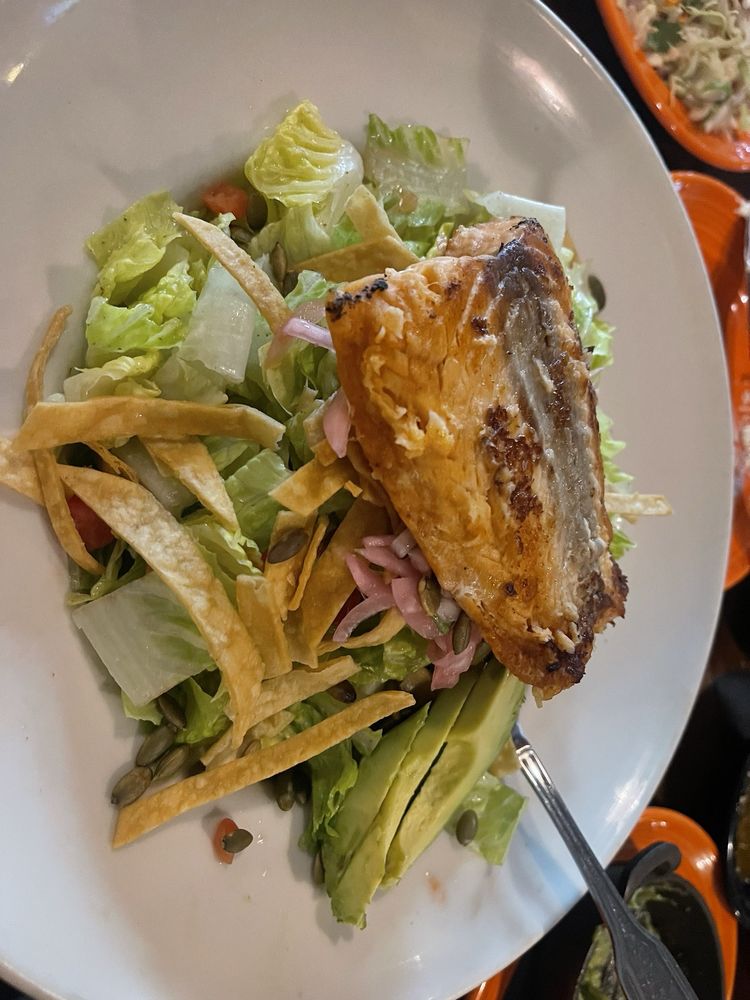 AGAVE COCINA & CANTINA - Updated February 2025 - 220 Photos & 431 ...