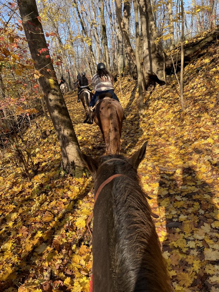 RED BUFFALO RANCH - Updated November 2024 - 68 Photos & 55 Reviews ...