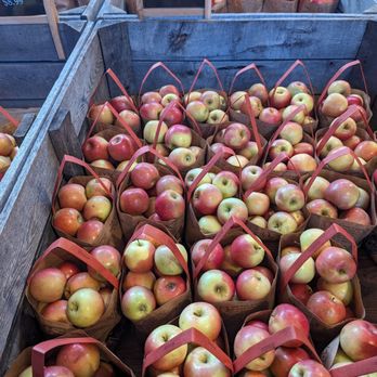 EDWARDS APPLE ORCHARD - TEMP. CLOSED - Updated December 2025 - 458 ...