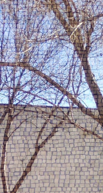 EBUS - Updated January 2026 - 10014 104th Street NW, Edmonton, Alberta ...