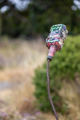 ALBANY BULB - Updated January 2026 - 998 Photos & 213 Reviews - 1 ...