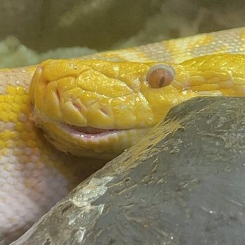 EAST BAY VIVARIUM - 588 Photos & 559 Reviews - 1827 5th St, Berkeley ...