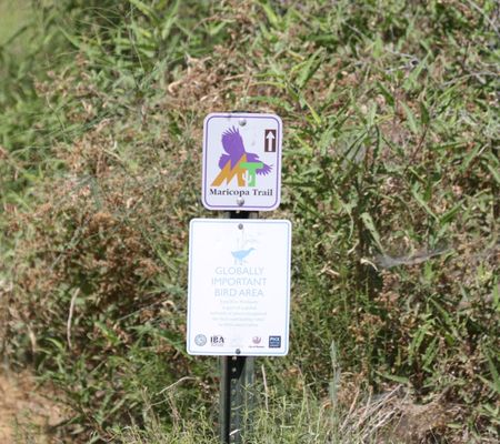 TRES RIOS WETLANDS - Updated October 2025 - 43 Photos - Phoenix ...