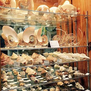 LEE BE FISH - Updated March 2025 - 443 Photos & 759 Reviews - 350 Royal ...