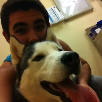 PENDER VETERINARY CENTRE - FAIRFAX - Updated October 2025 - 101 Photos ...